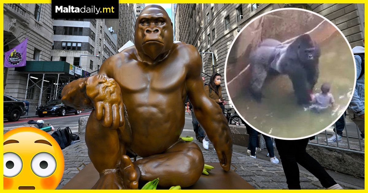 Massive Harambe statue erected on Wall Street with 10,000 b…