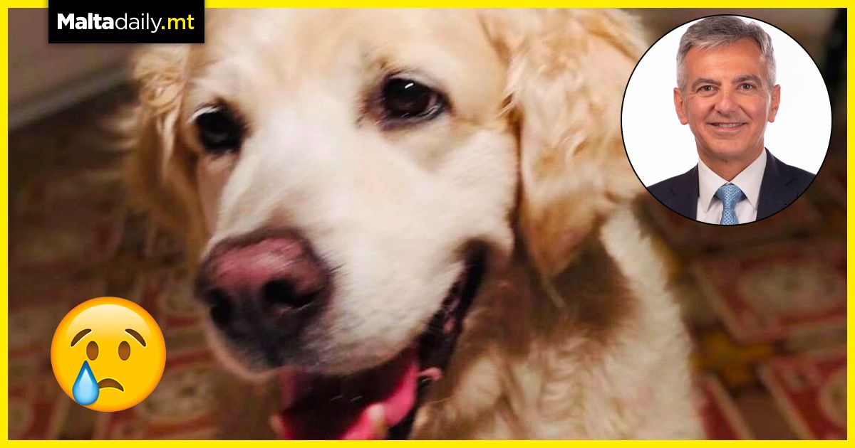 Simon Busuttil bids somber farewell to family dog Jipsie