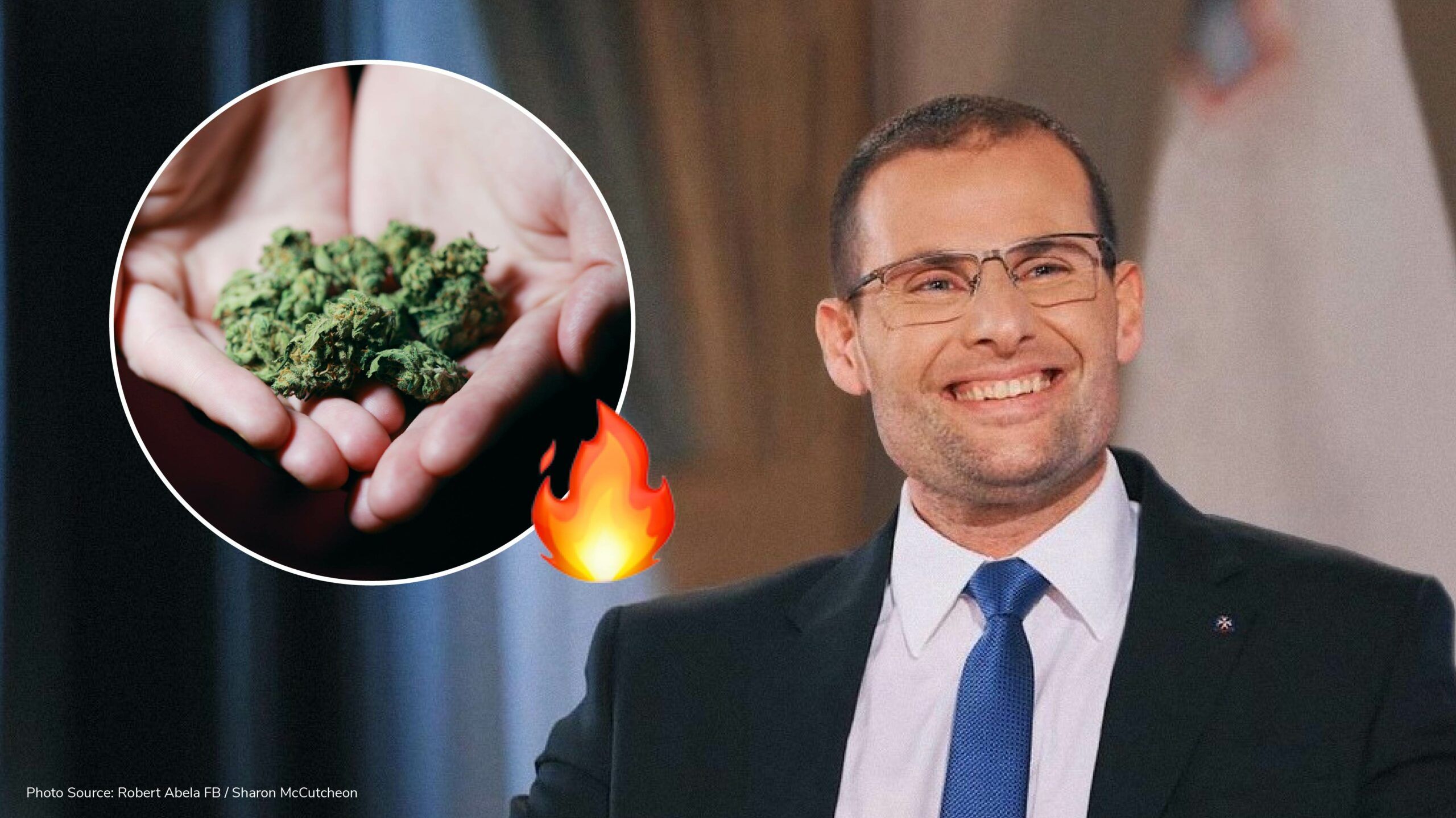 White paper proposes up to 7 grams cannabis possession & cu…