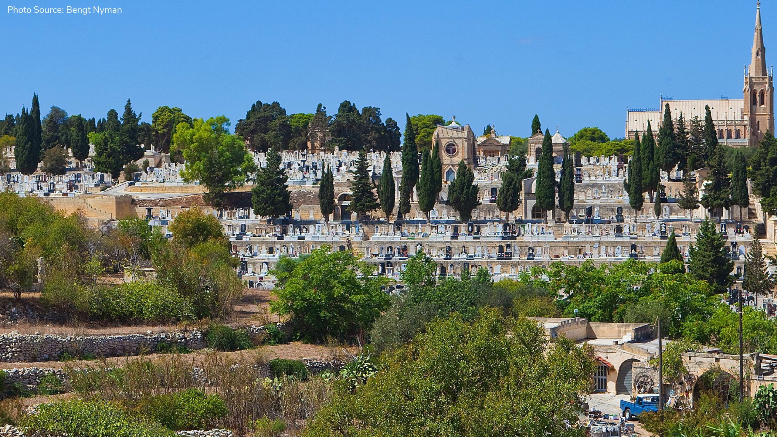 Graves of people who died while they were positive for COVI…