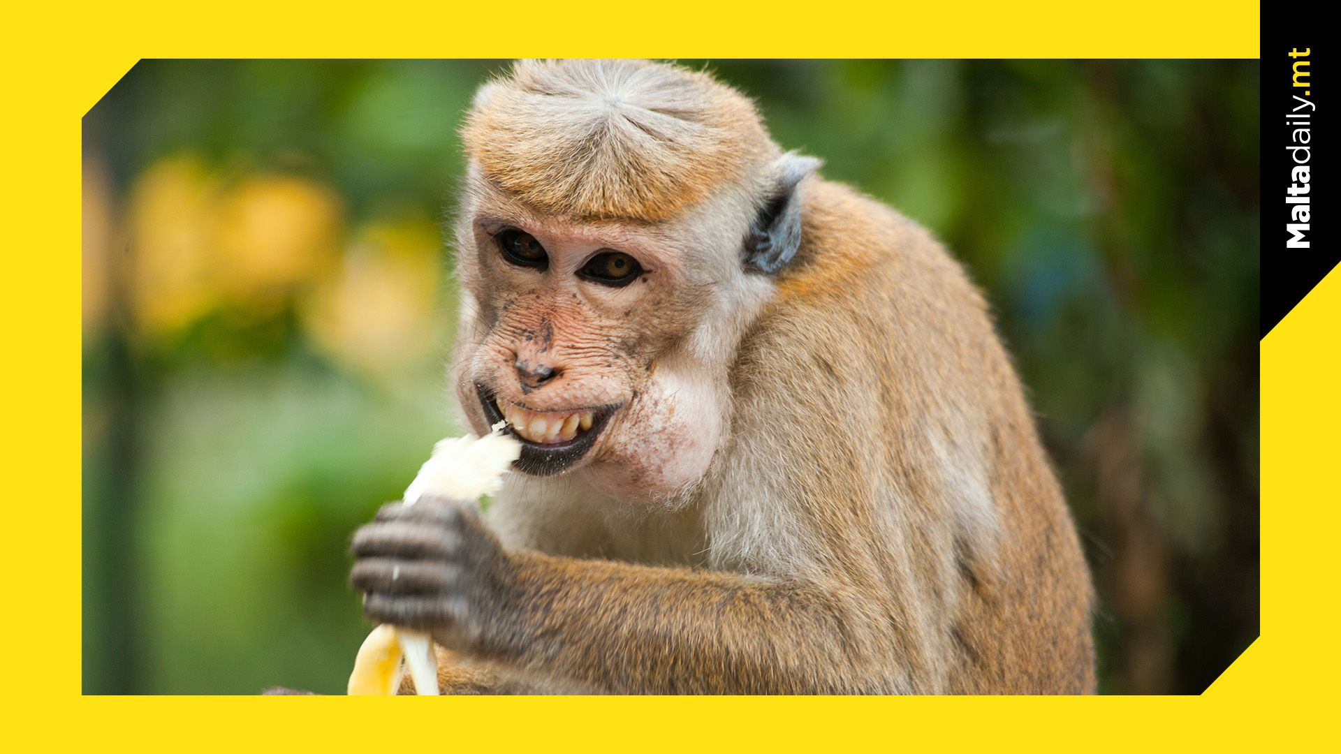 What is ‘April Fools’ Day’ and why exactly do we celebrate…