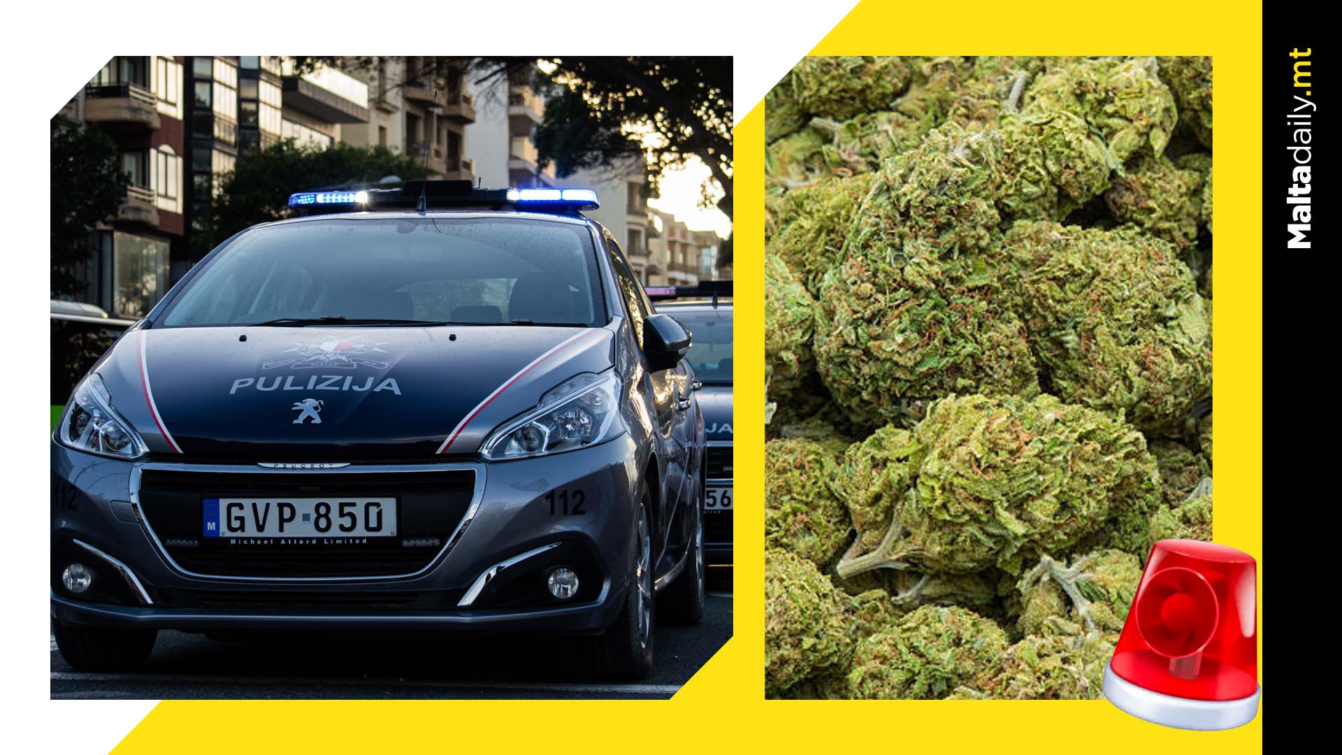 Police chase bailed out 27 year old to find 3 kilos of cann…