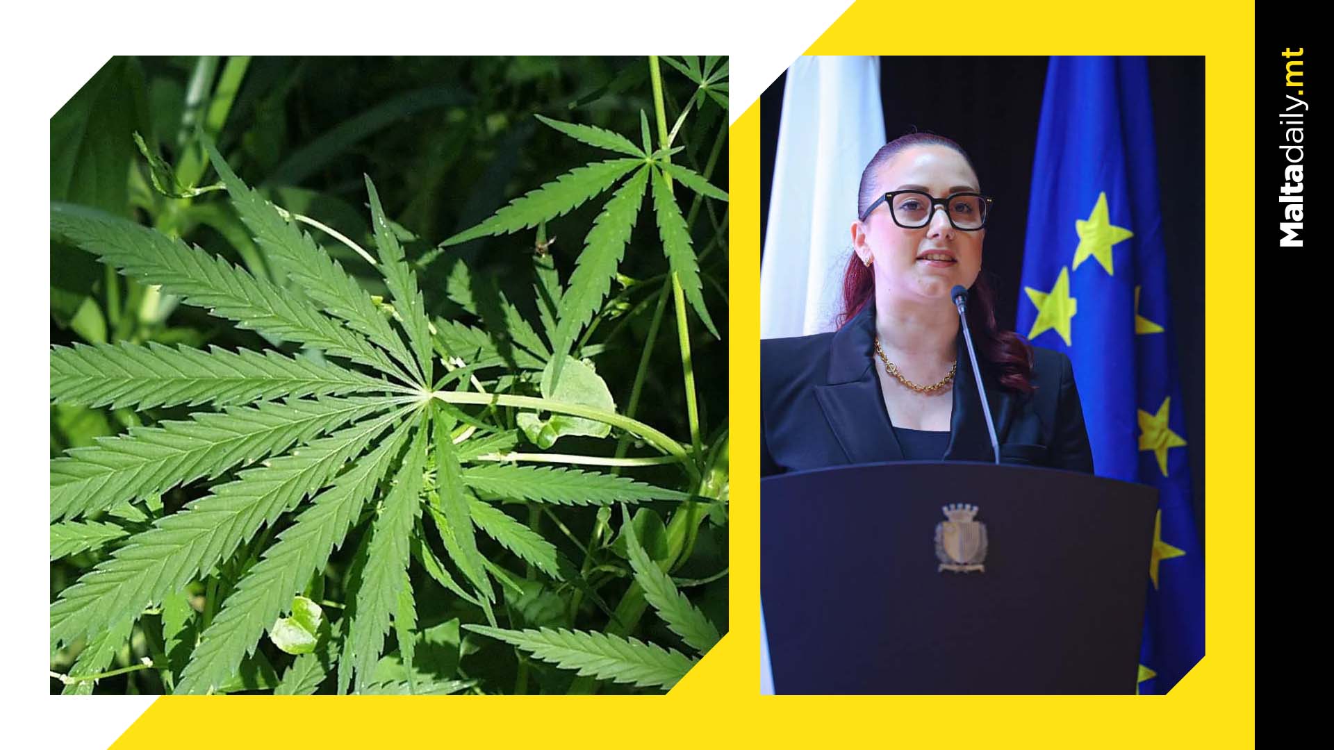 Harm reduction training program for cannabis use announced