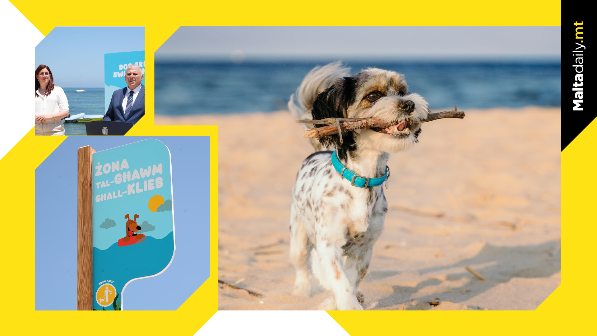 Malta and Gozo Welcome New Dog-Friendly Beaches, Increasing…