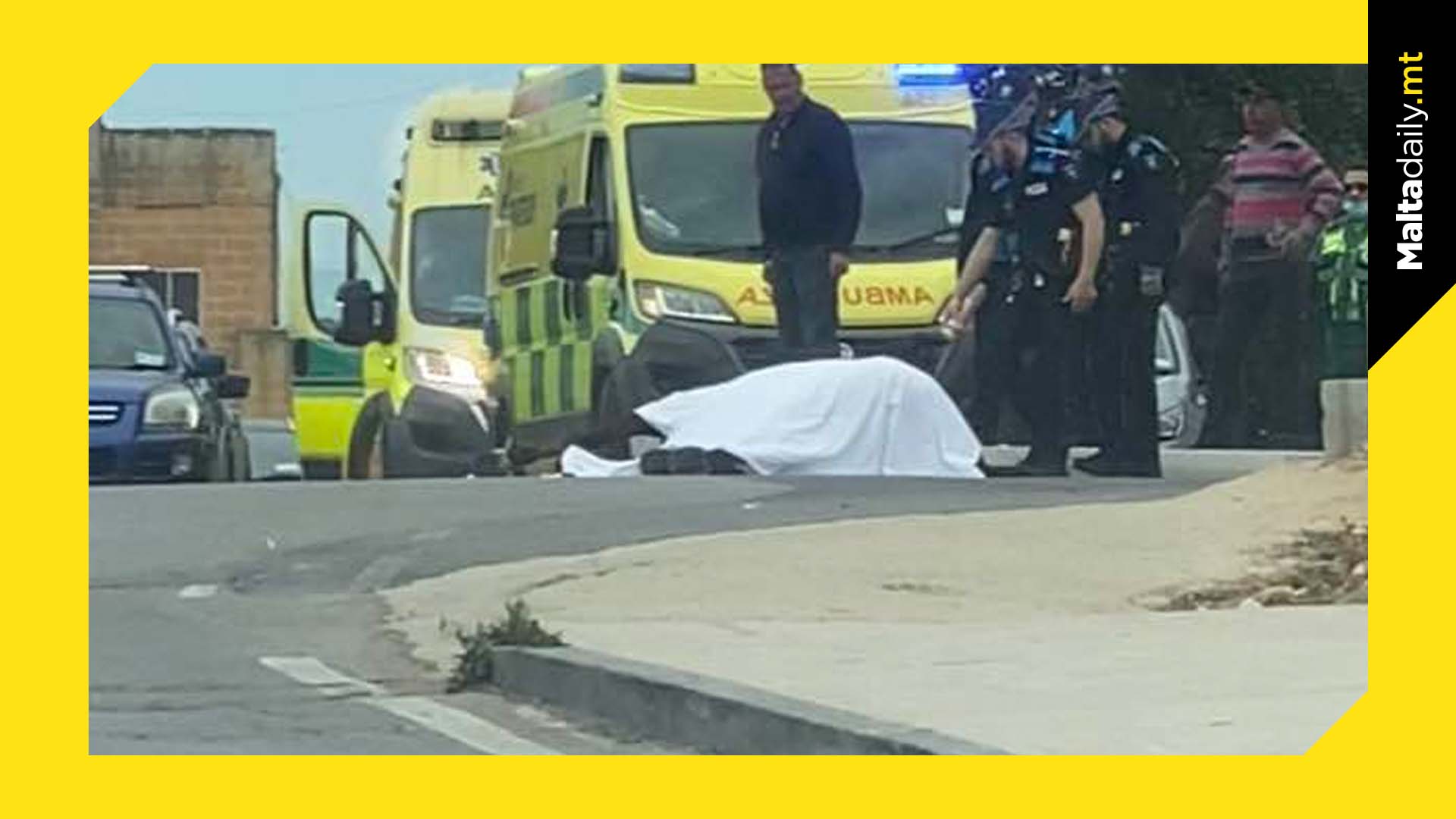 Panicked horse dies after running into a bus outside Vallet…